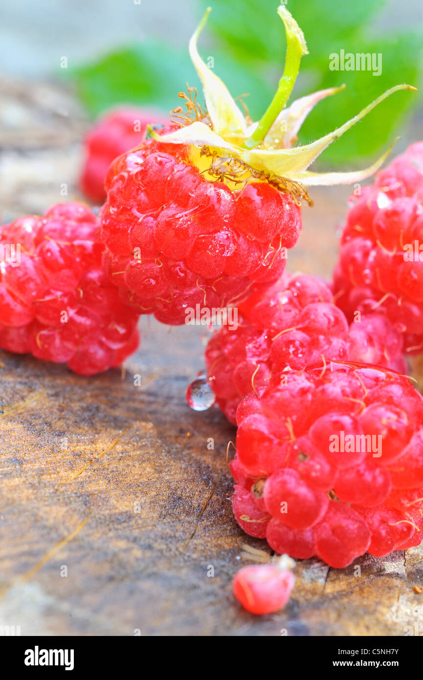 Raspberries on wood Stock Photo - Alamy