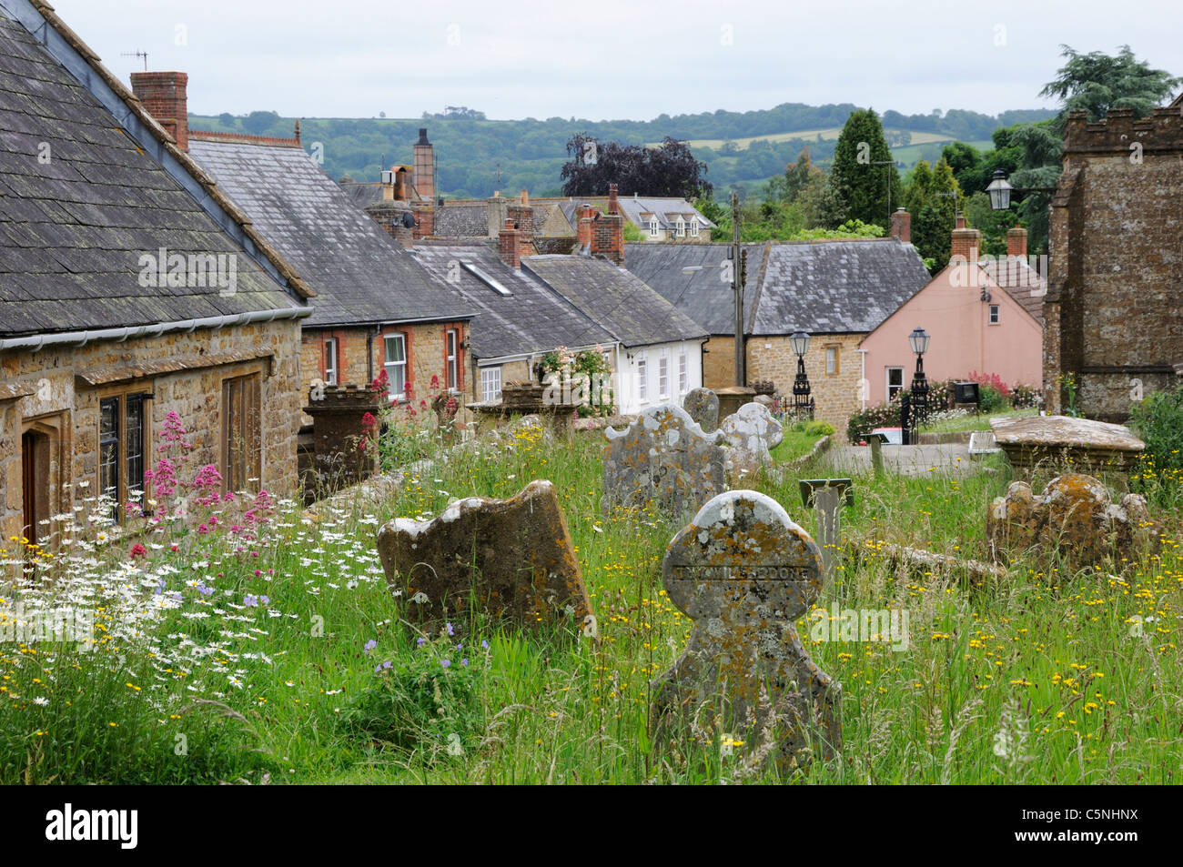Beaminster High Resolution Stock Photography and Images - Alamy