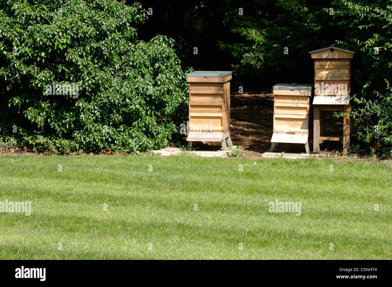 Bee Hives in an English garden Stock Photo - Alamy