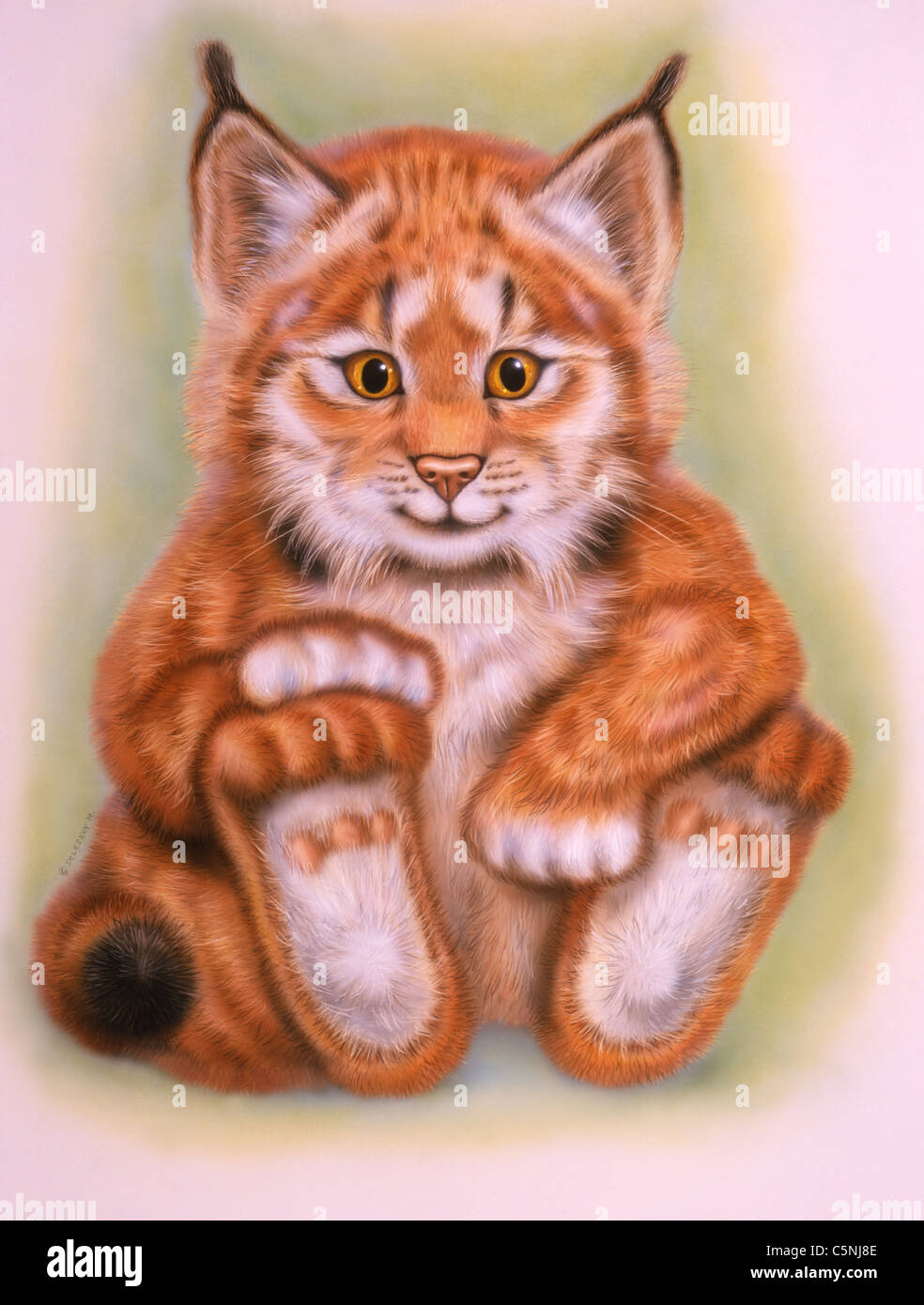 Lynx illustrations hi-res stock photography and images - Alamy