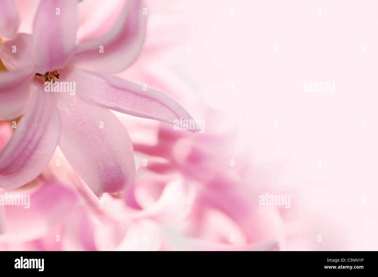 Nice filters hi-res stock photography and images - Alamy