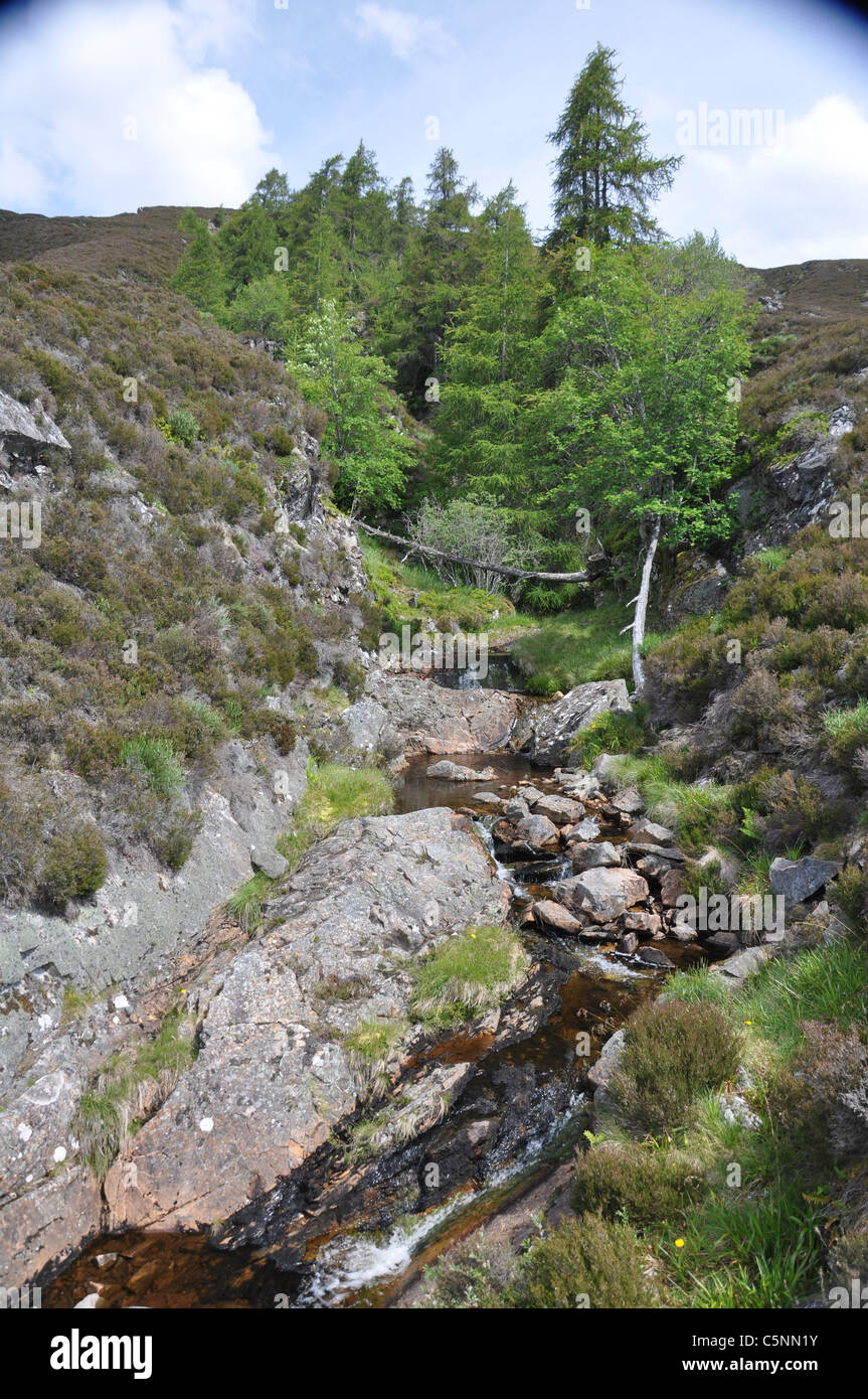 Linn of Dee, Braemar, Aberdeenshire, Scotland, UK Stock Photo - Alamy