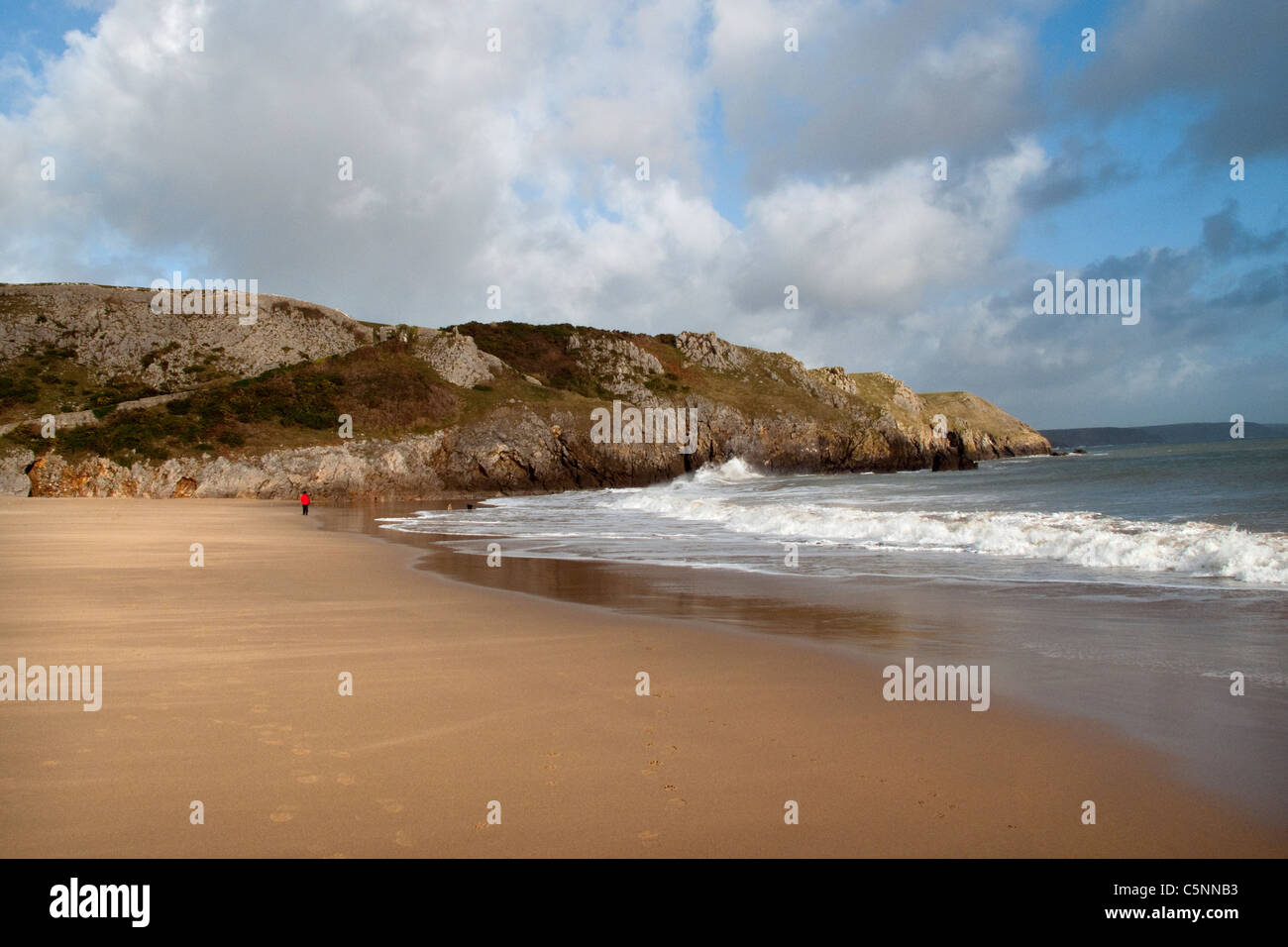 Barafundle bay pembrokeshire dog hi-res stock photography and images ...