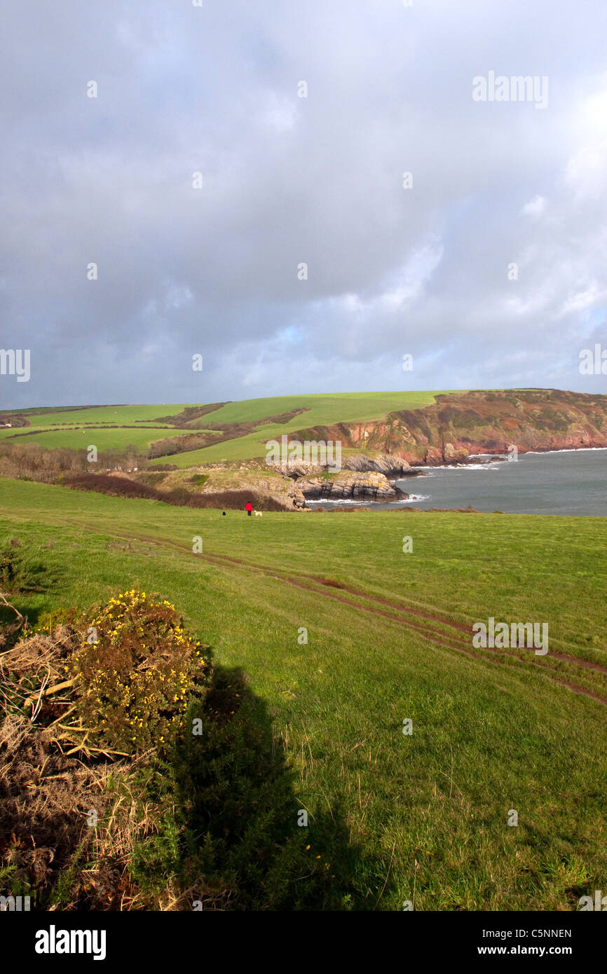 Walking the dog on the clifftop above Barafundle Bay, Pembrokeshire ...