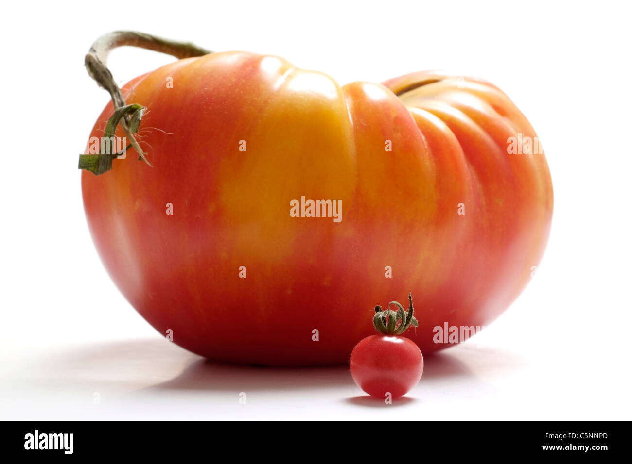 Tomatoes in different sizes Stock Photo - Alamy