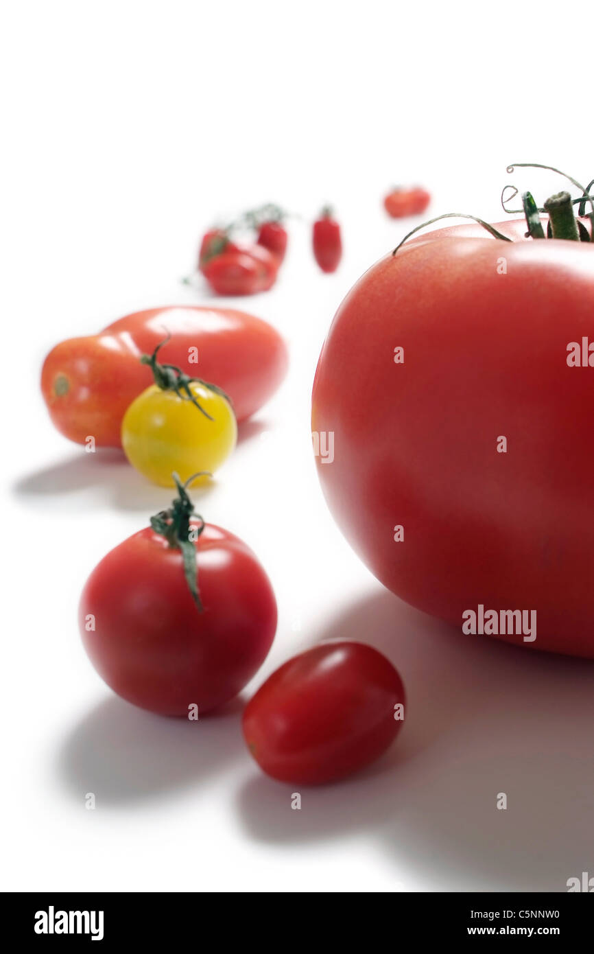 Tomato varieties in different sizes Stock Photo - Alamy