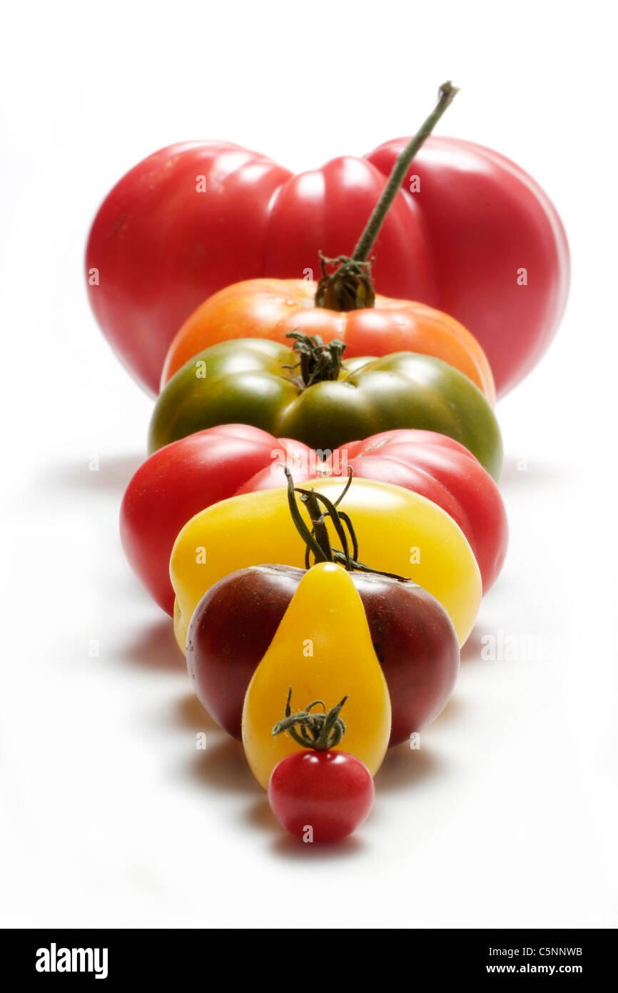 Tomato varieties in a row by size Stock Photo - Alamy