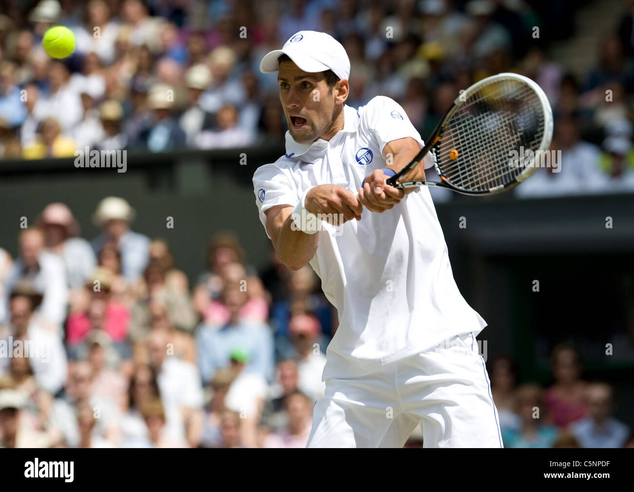 Action wimbledon tennis hi-res stock photography and images - Alamy