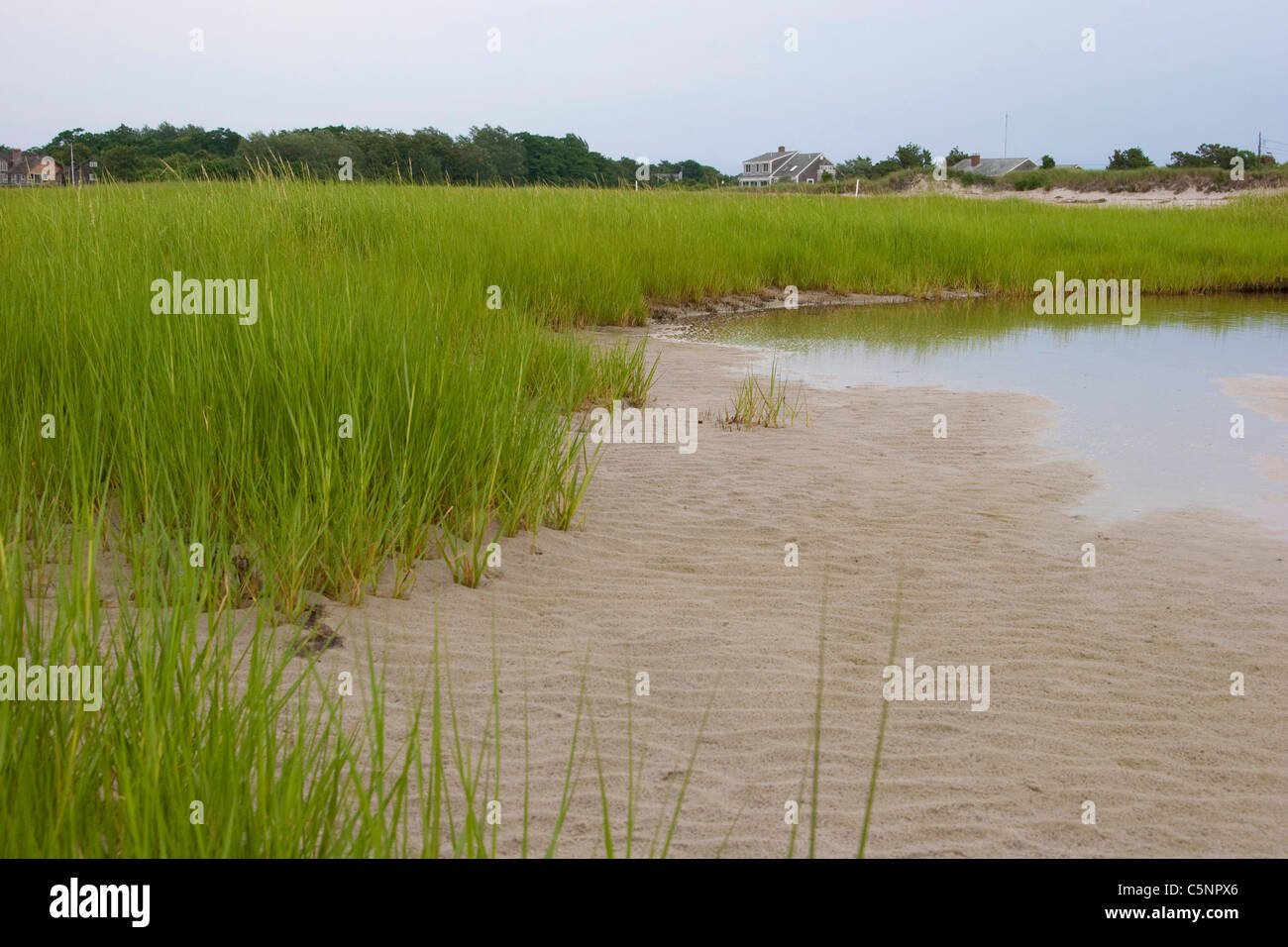 Orleans ma hi-res stock photography and images - Alamy