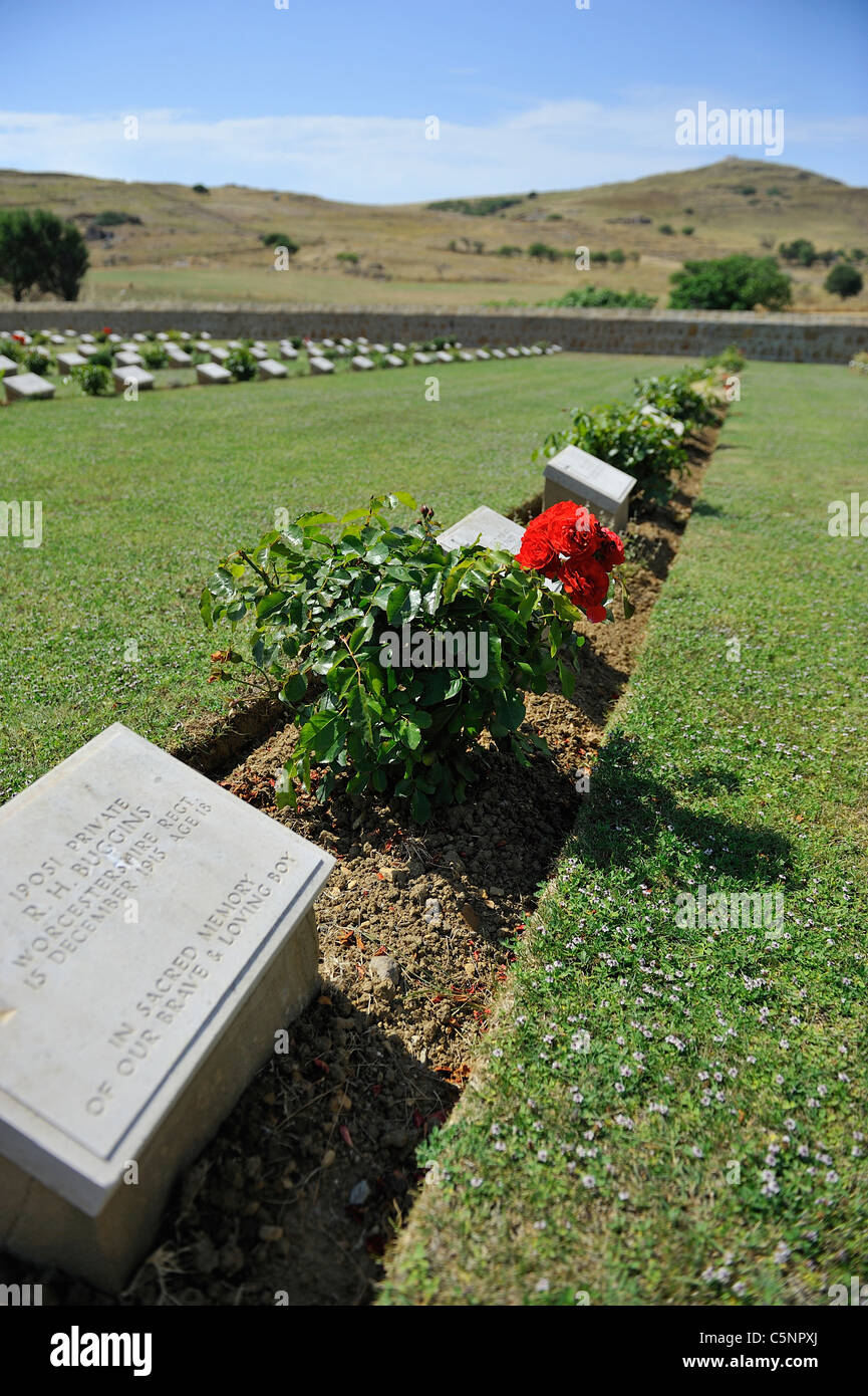 The poignant grave's inscription acts as a contrast to the beautiful ...