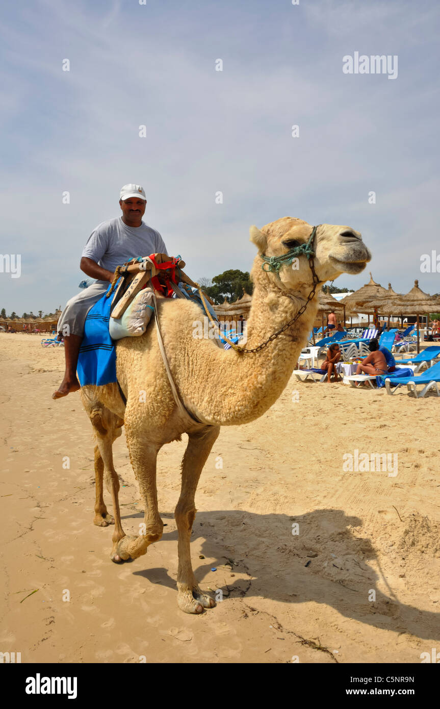 Arab man riding camel on hi-res stock photography and images - Alamy