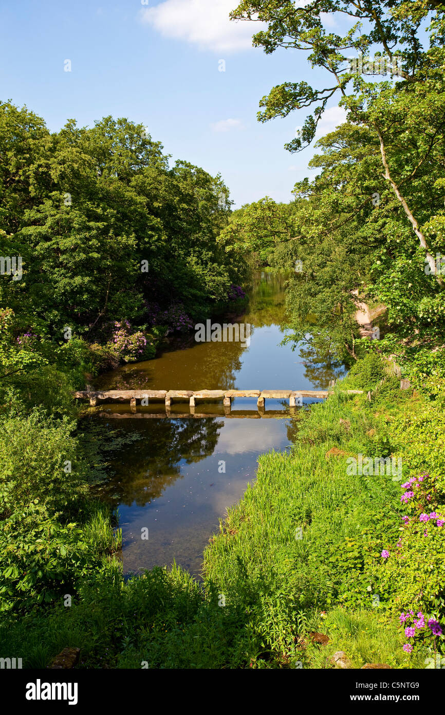 Druids stone hi-res stock photography and images - Alamy
