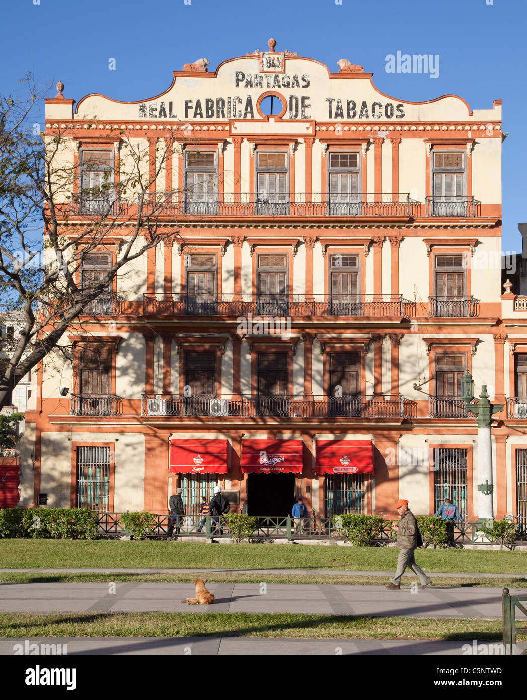 Cuba, Havana. Partagas Cuban Cigar Factory Stock Photo - Alamy