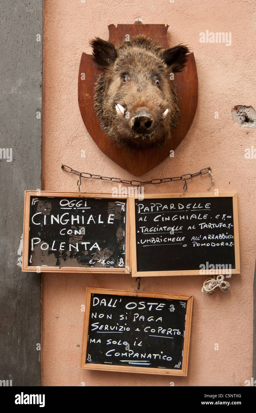 Head of a wild boar draws attention to a regional cuisine rich in game ...