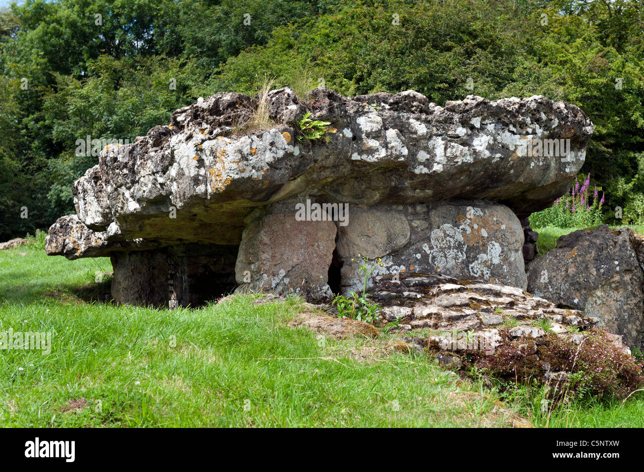 Neolithic megalithic burial chamber hi-res stock photography and images ...
