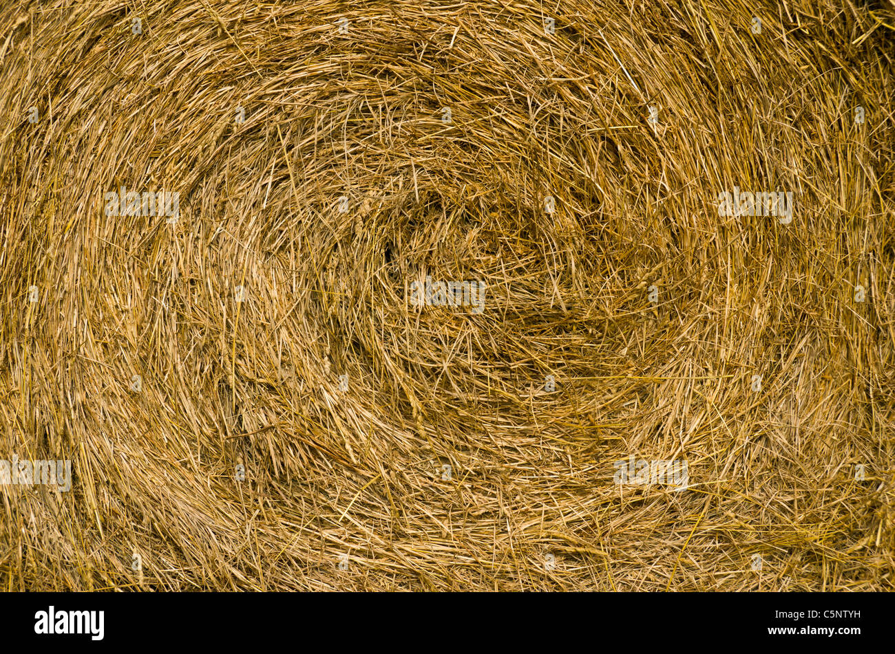Bail hay straw agriculture hi-res stock photography and images - Alamy