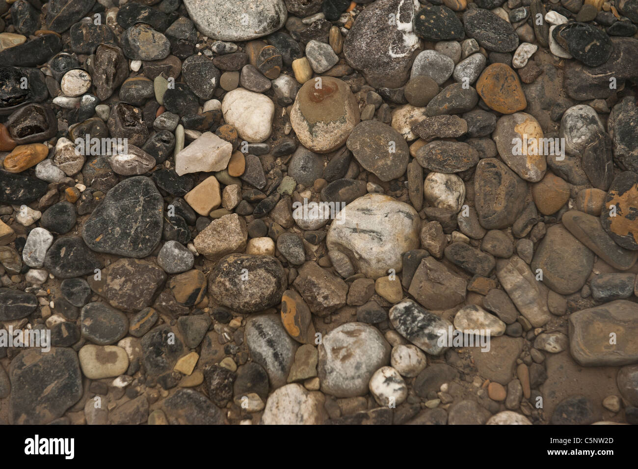 Rocks in the river bed Stock Photo - Alamy