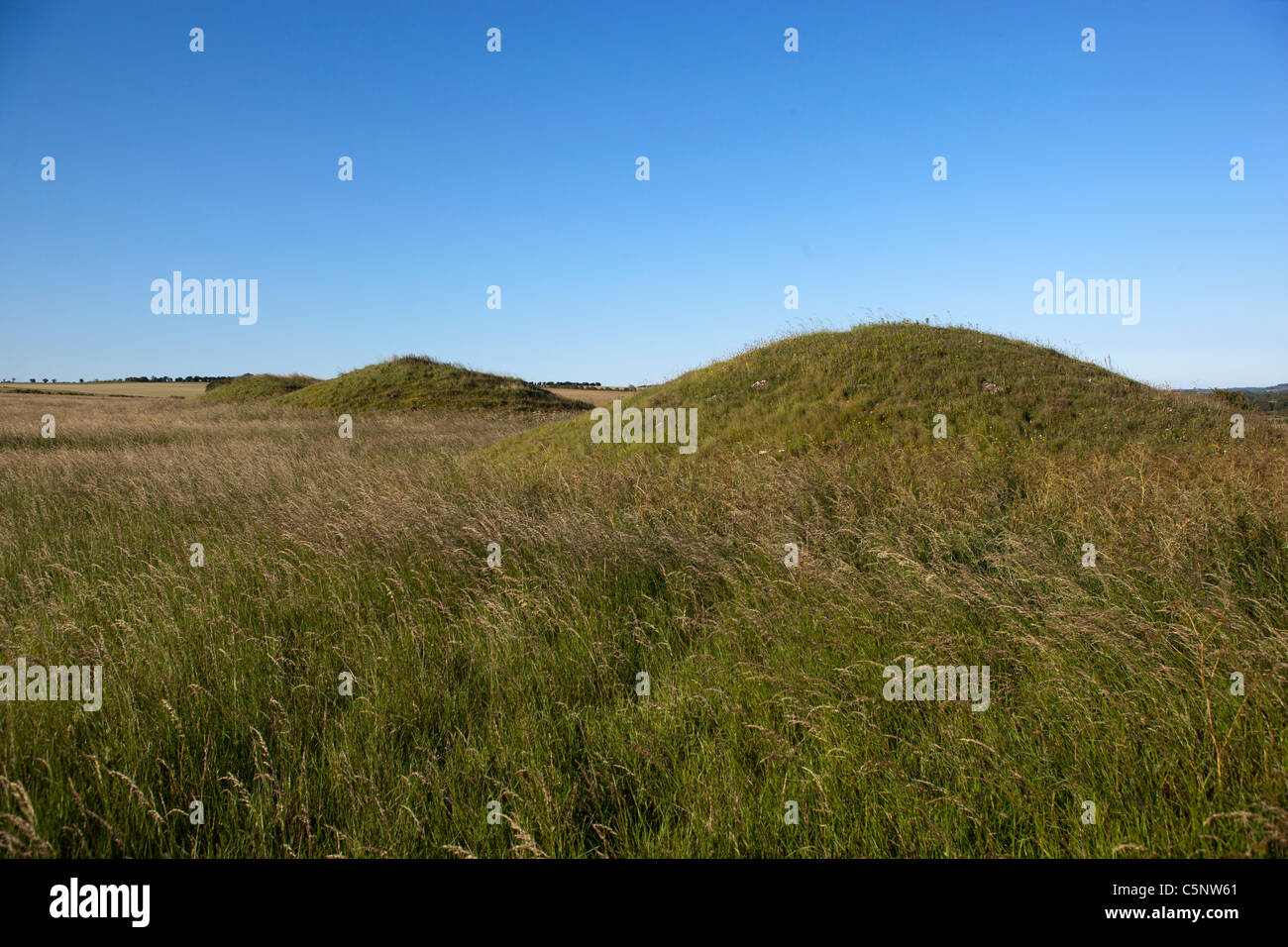Burial Mounds Overton Hill Wiltshire England UK Stock Photo - Alamy