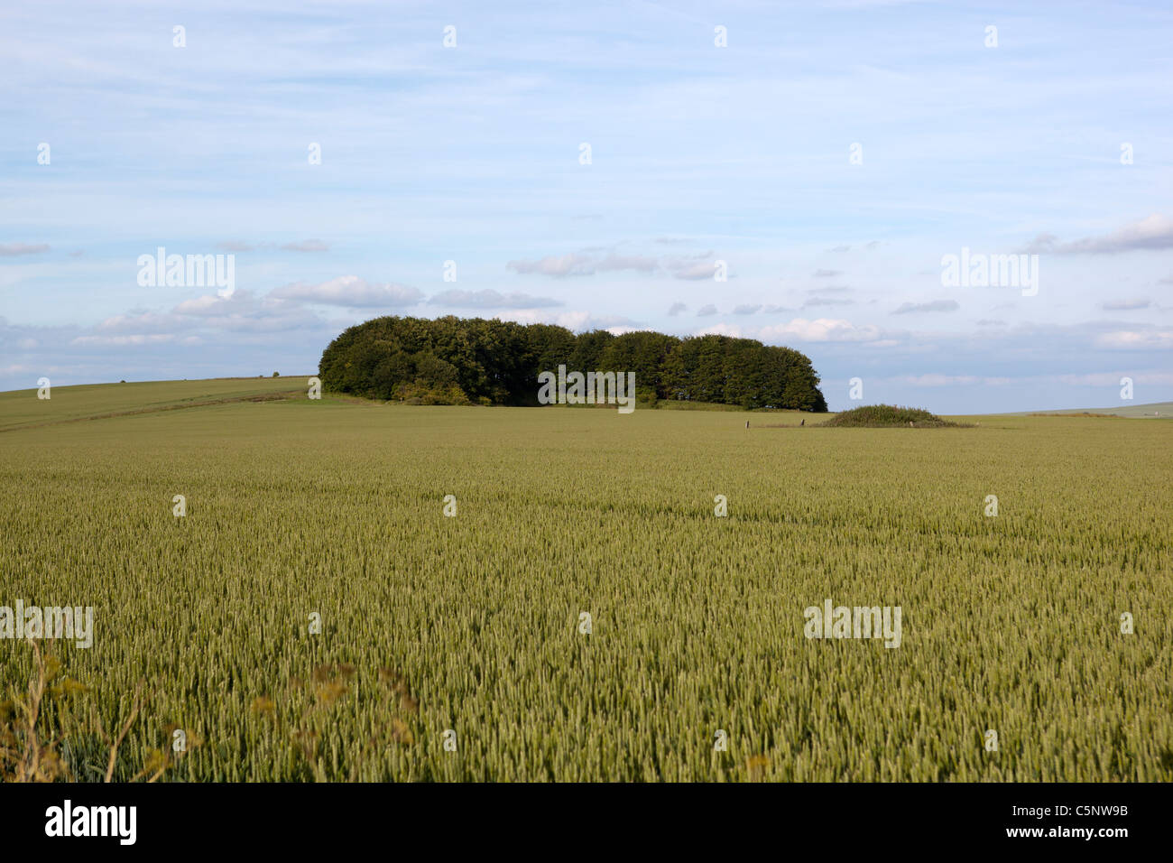 Hill Top View from the Roundway near Devizes Wiltshire Stock Photo - Alamy