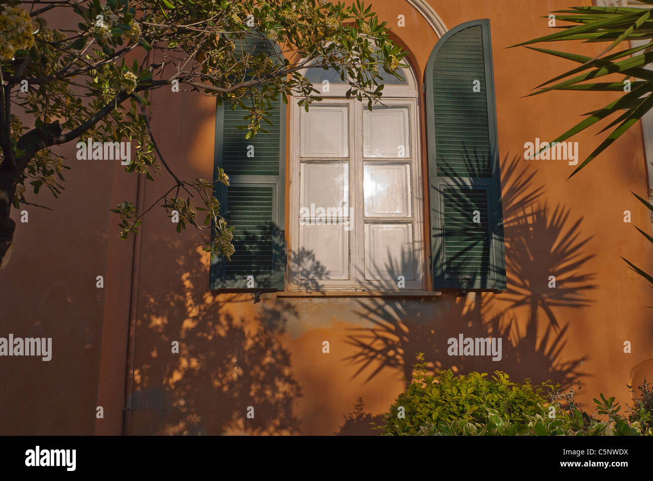 Window with green shutters and orange wall in angular light, Monterosso ...
