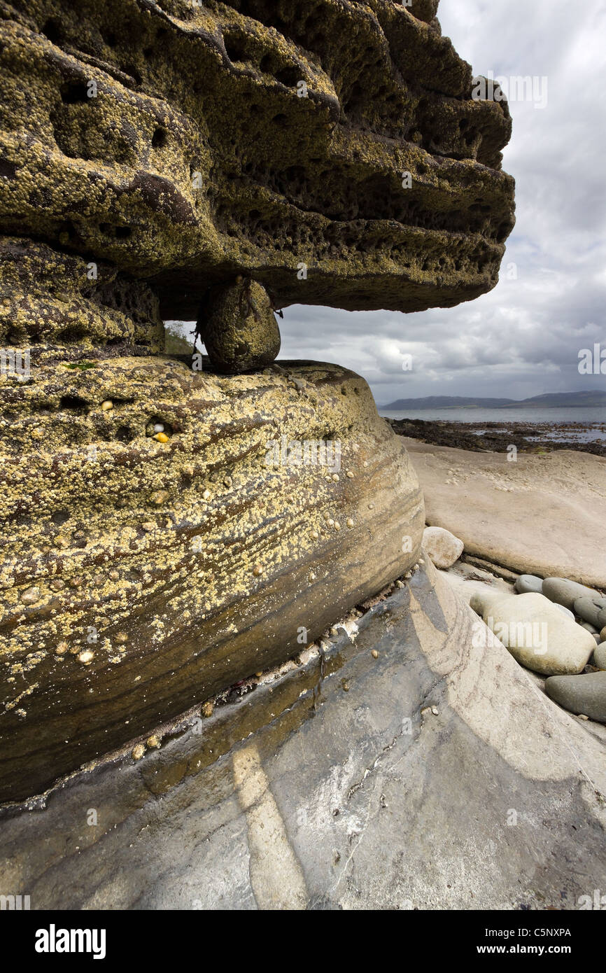 Closeup of barnacle encrusted and eroded rocky sea cliffs on the shores ...
