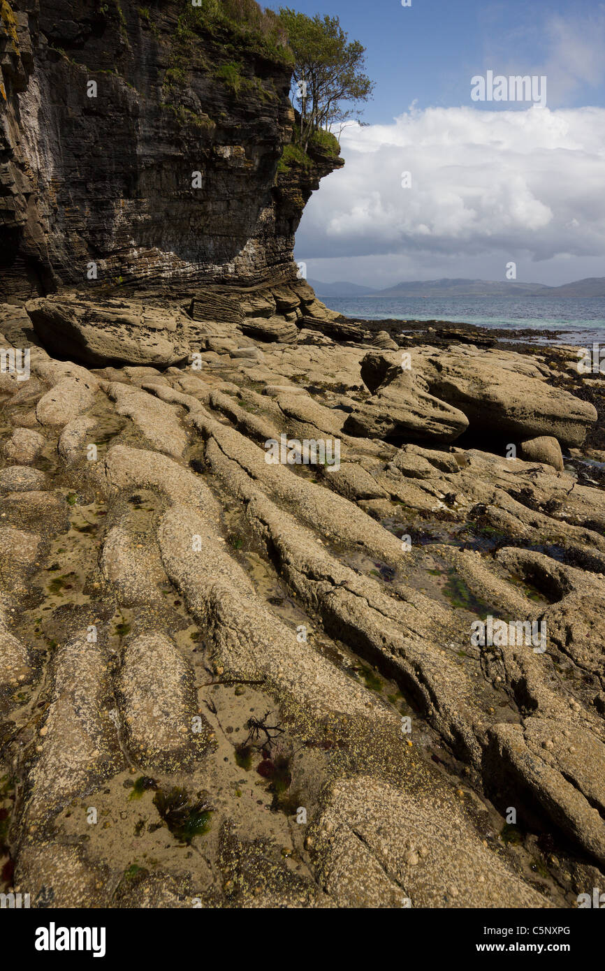 Overhanging trees on eroded rocky sea cliffs on the shores of Loch ...