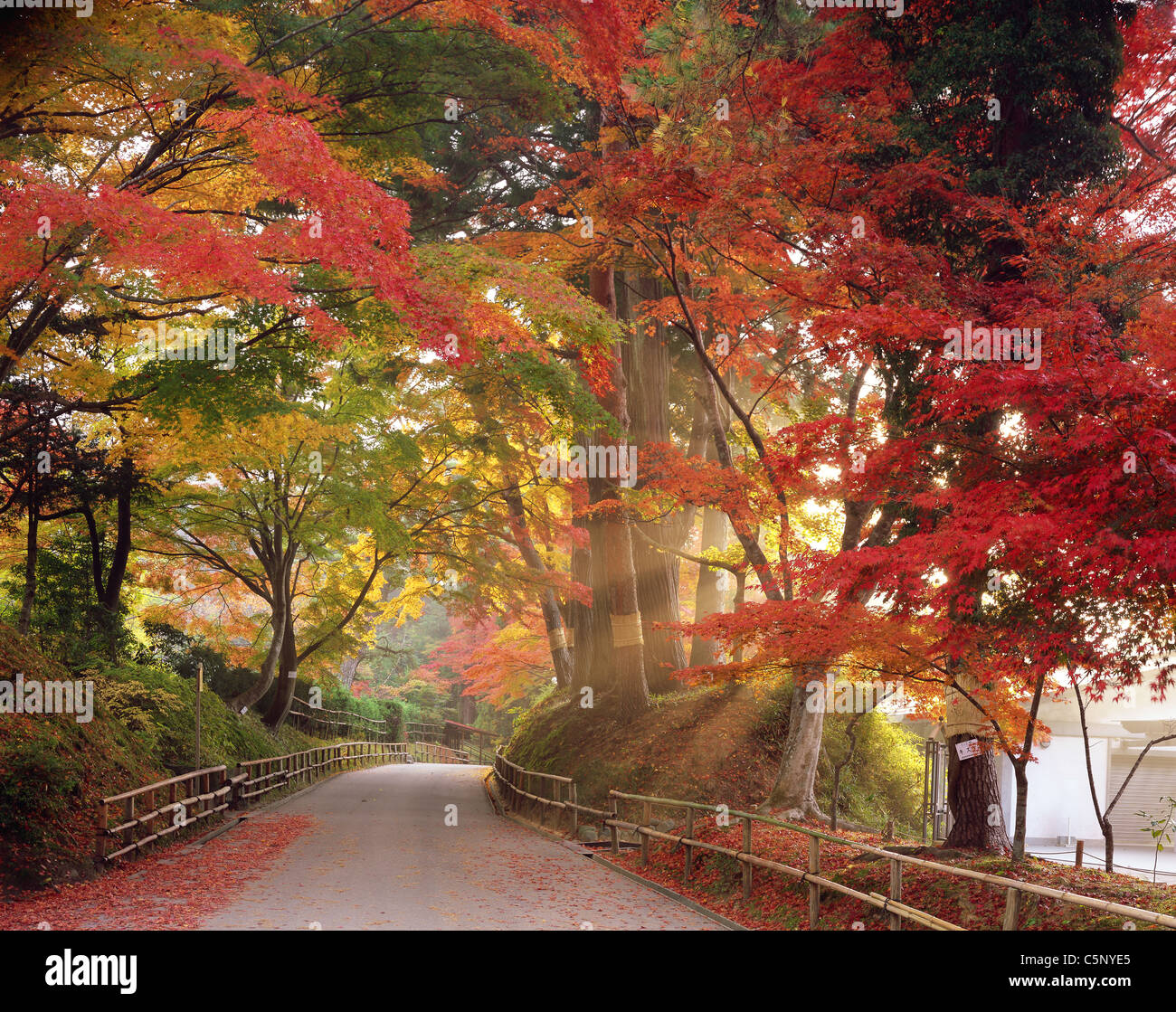 Unesco world heritage cultural tohoku japan iwate hiraizumi chusonji ...