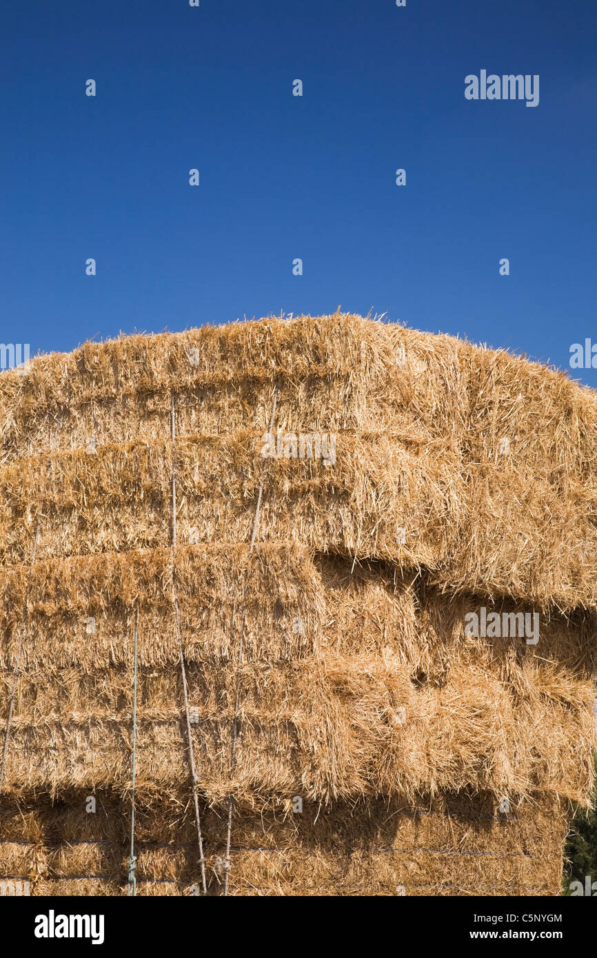 Hay stacks and blue sky Stock Photo - Alamy