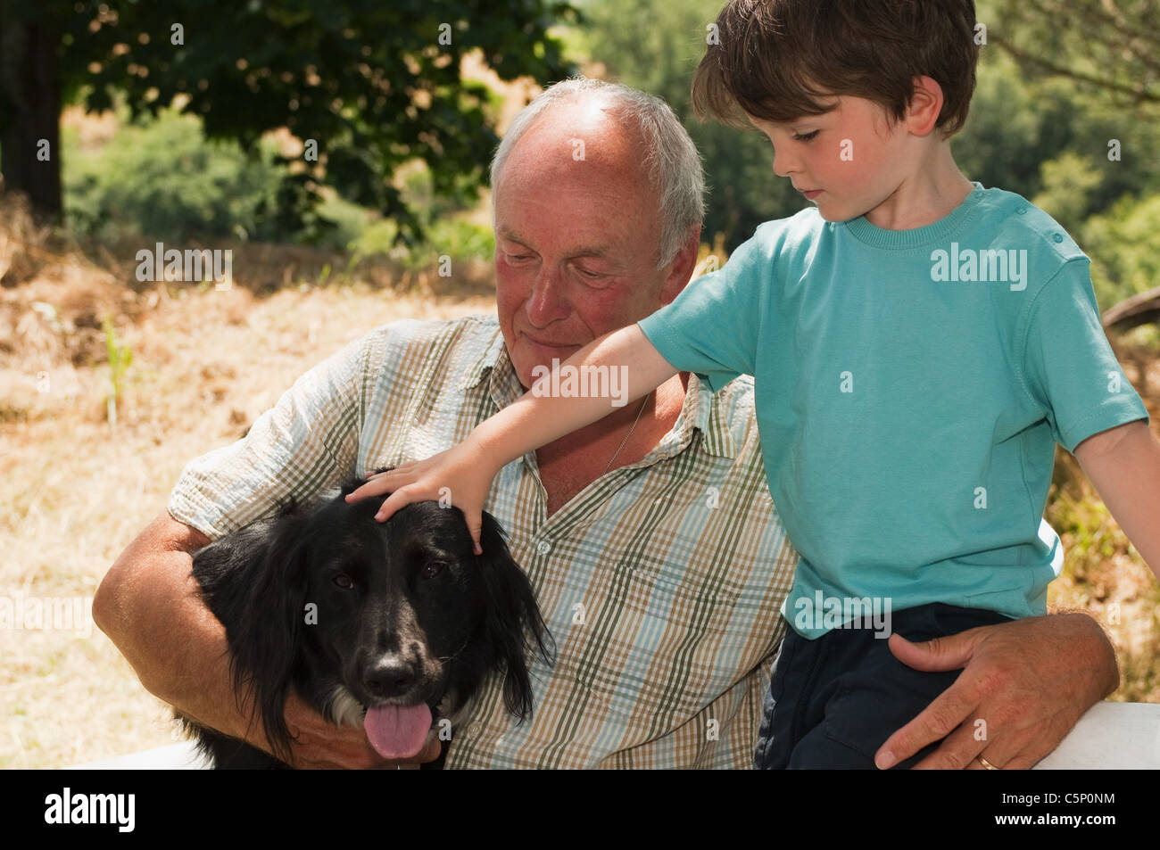 Grandfather with grandson patting dog Stock Photo - Alamy