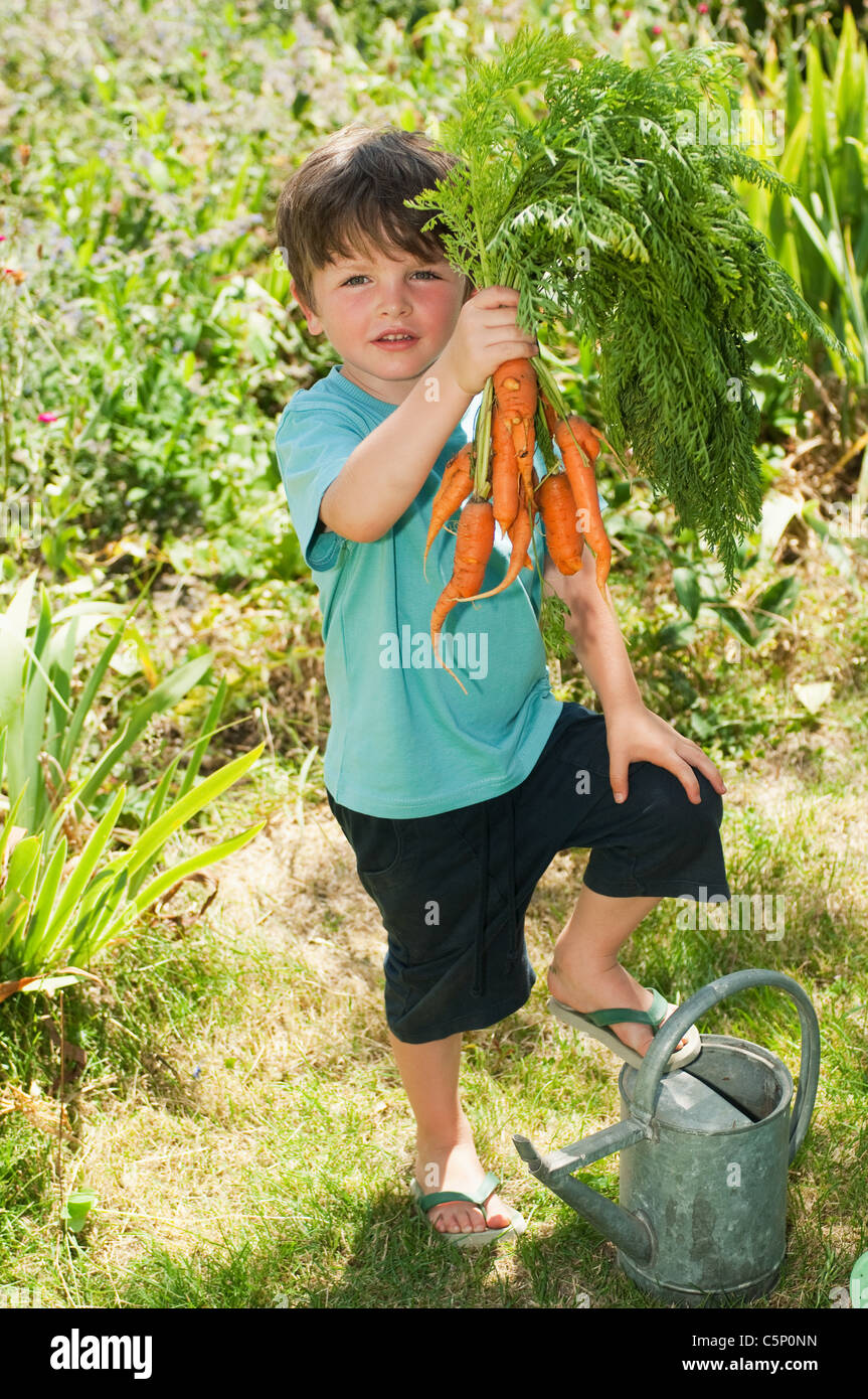 Boy holding bunch of homegrown carrots, portrait Stock Photo - Alamy
