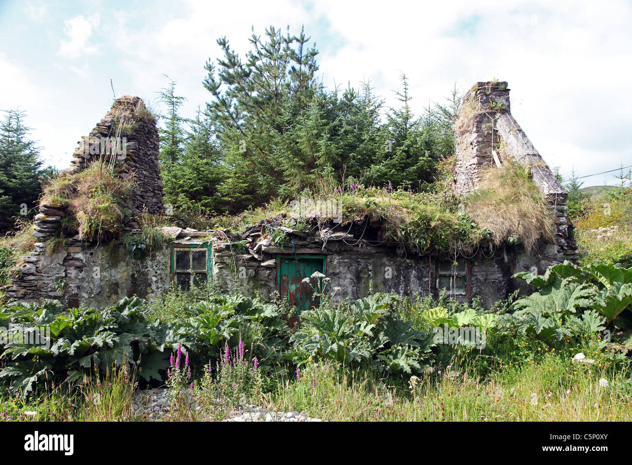 Derelict Irish homestead, Ballinskelligs, Co. Kerry, Ireland Stock ...