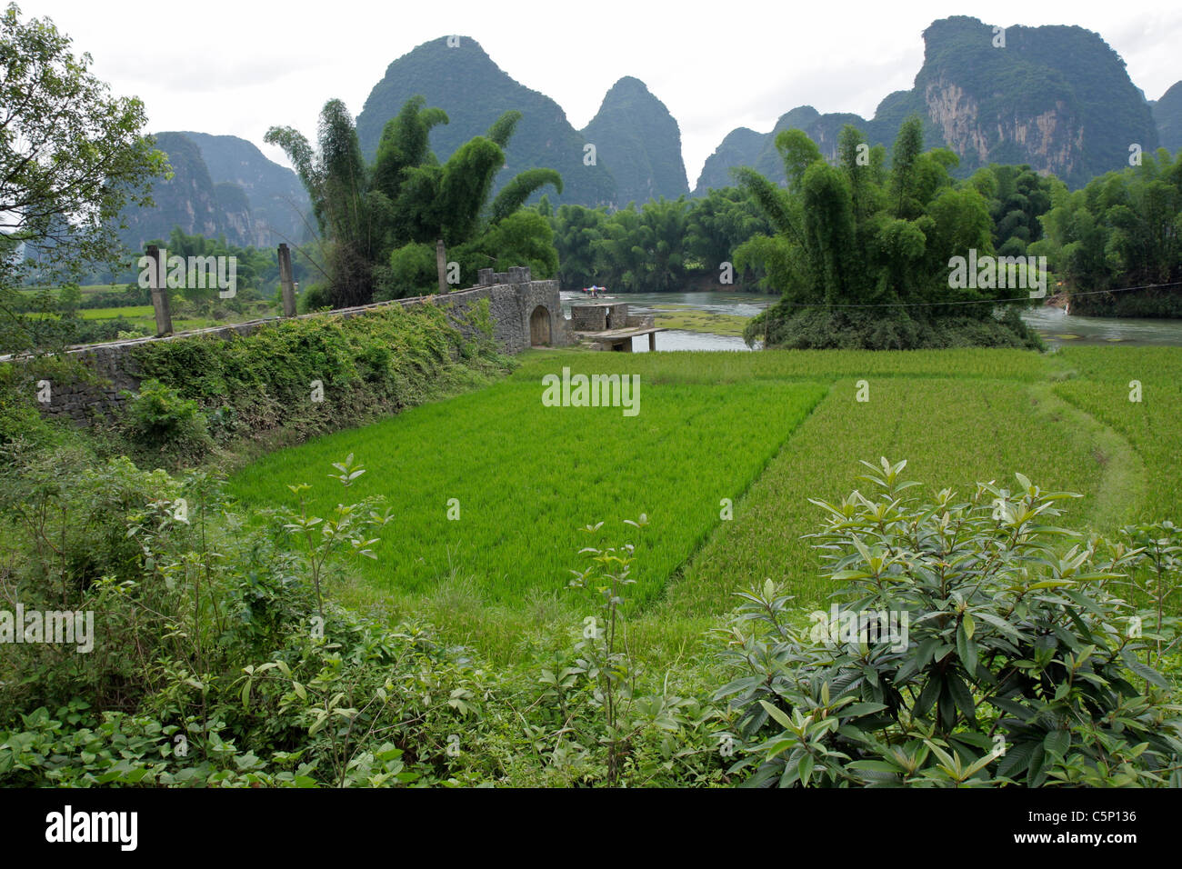 China rural agriculture hi-res stock photography and images - Alamy