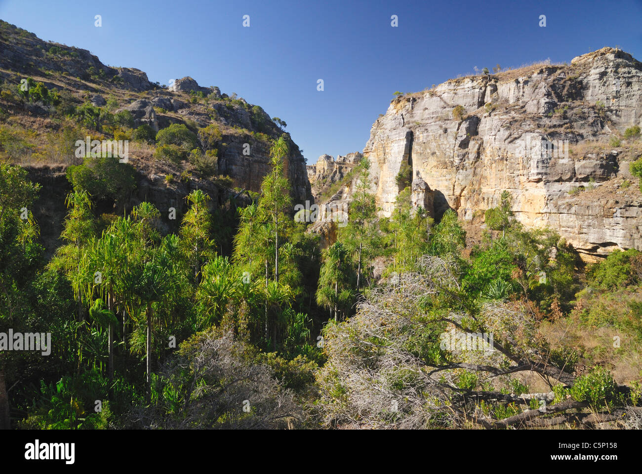 Isalo hi-res stock photography and images - Alamy