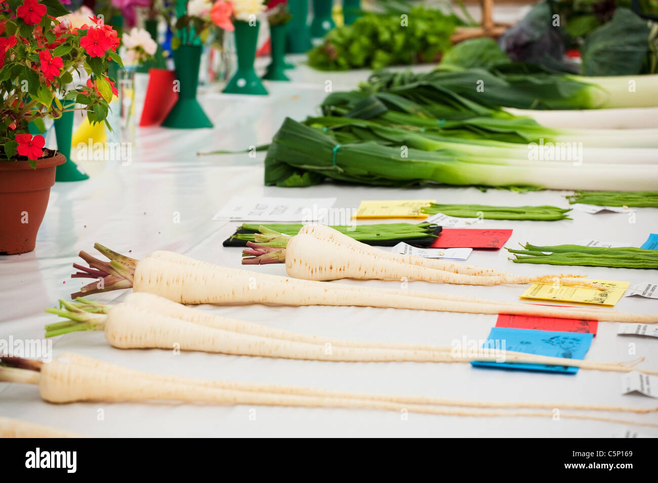 Vegetable Growing Competition High Resolution Stock Photography and ...