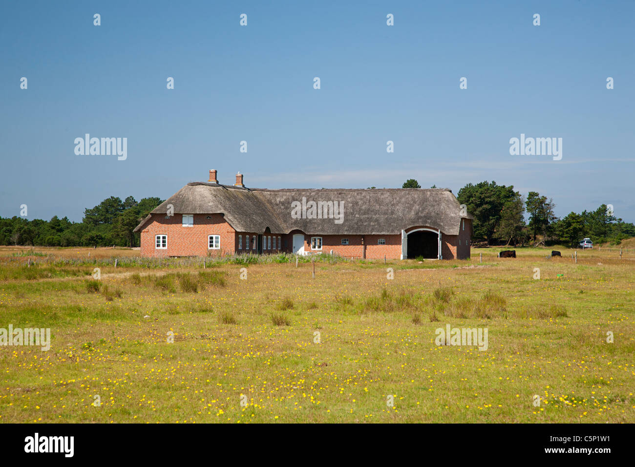 Farm house on the Danish Wadden island Romo, Jutland, Denmark Stock ...