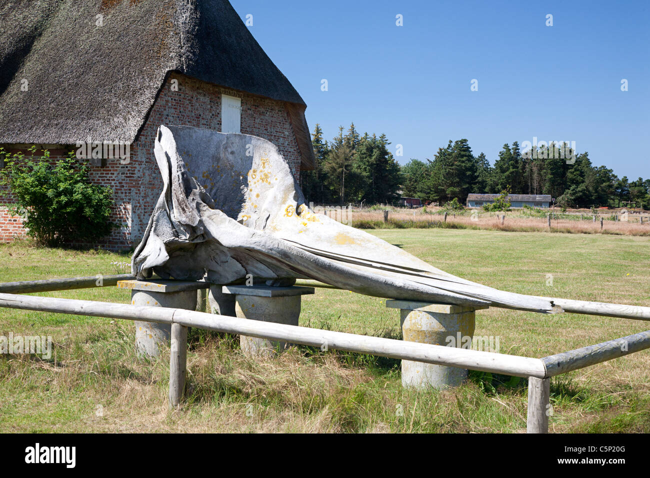 Part of the skeleton of a whale on the Danish Wadden island Romo ...