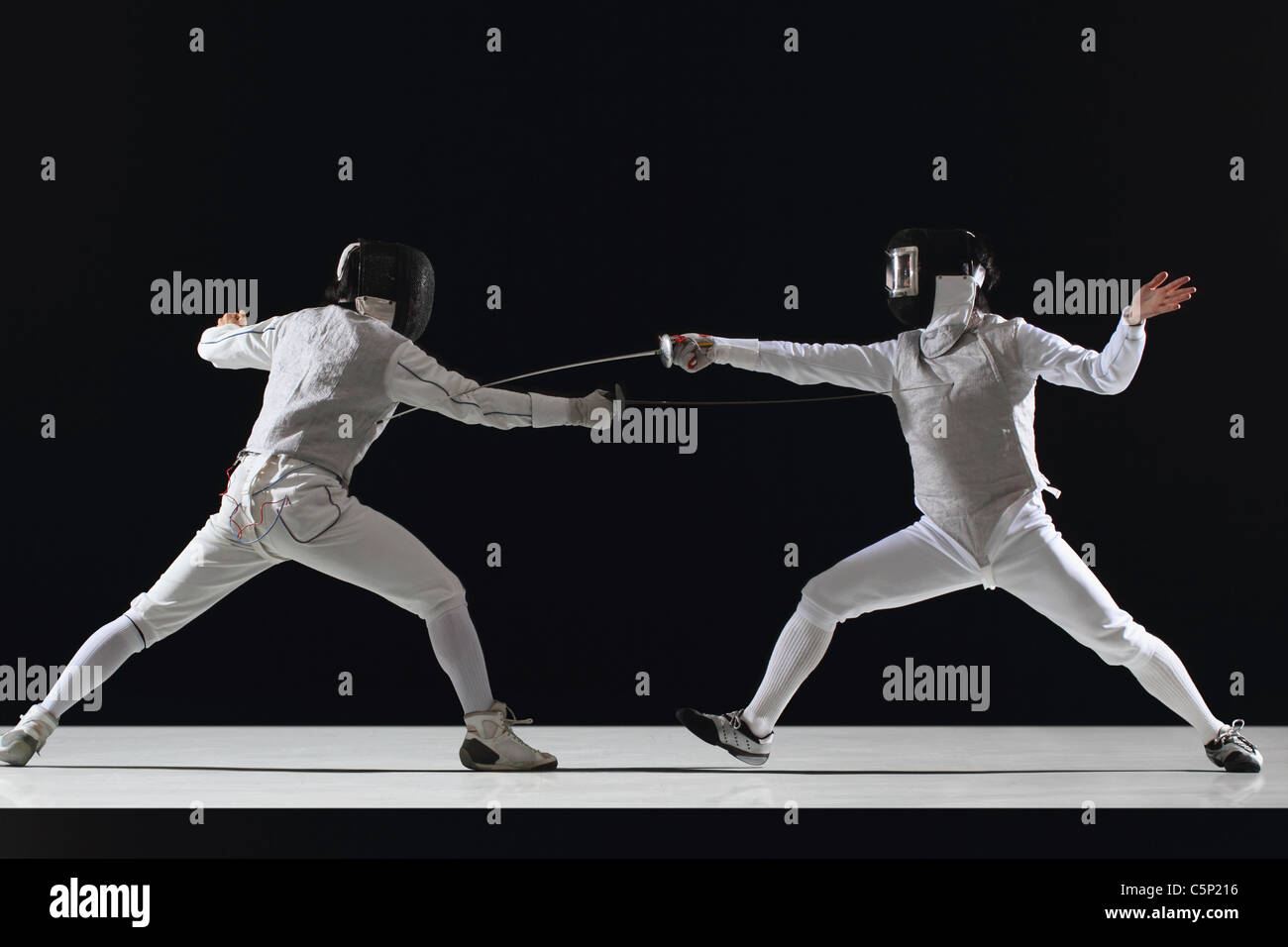 Game fencing hi-res stock photography and images - Alamy