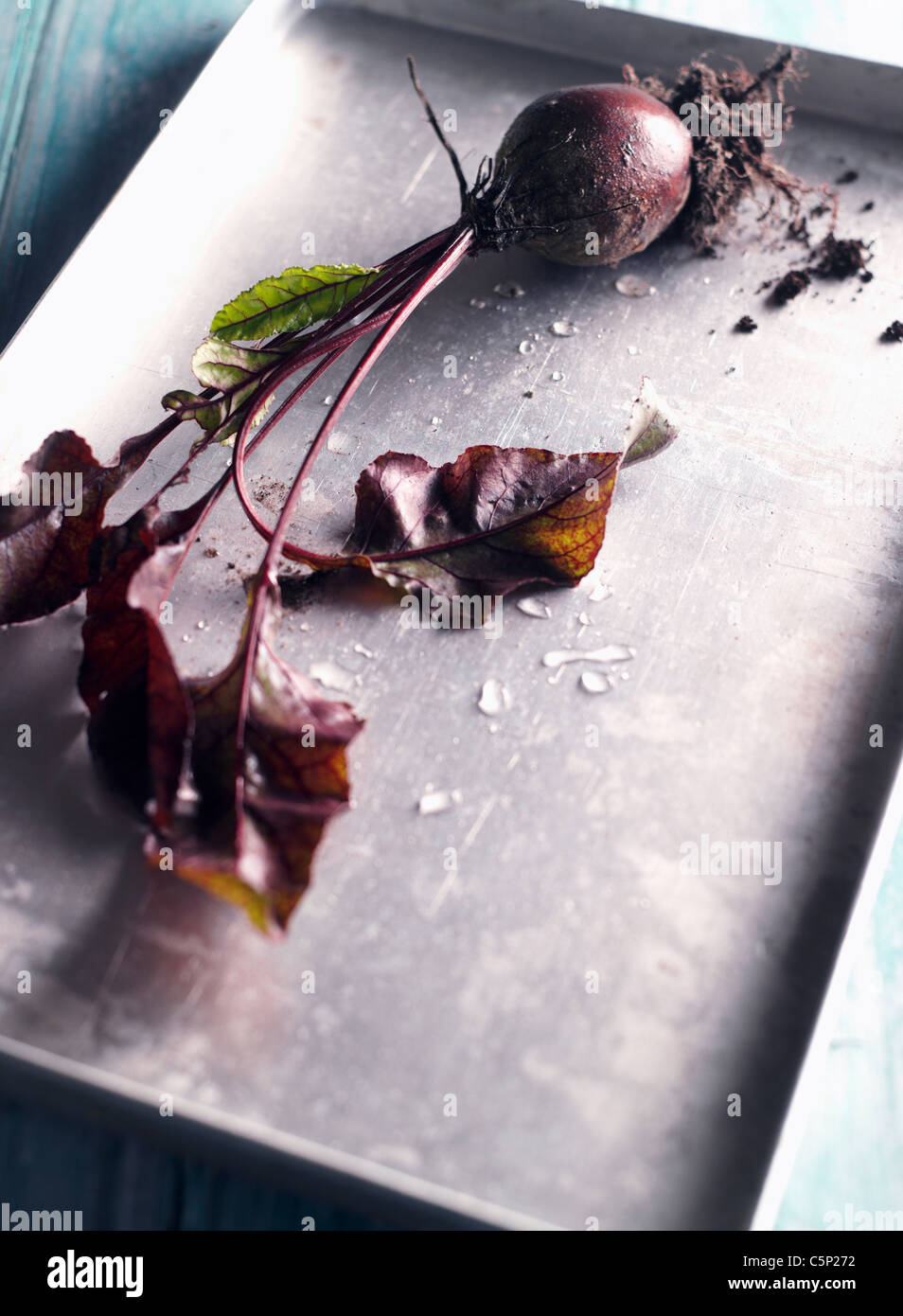 Wintrystillstills hi-res stock photography and images - Alamy