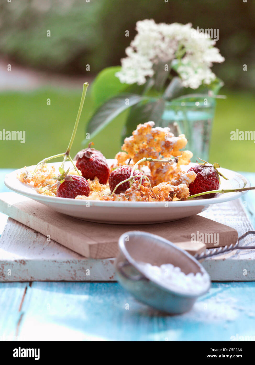 Flowerelderberry hi-res stock photography and images - Alamy