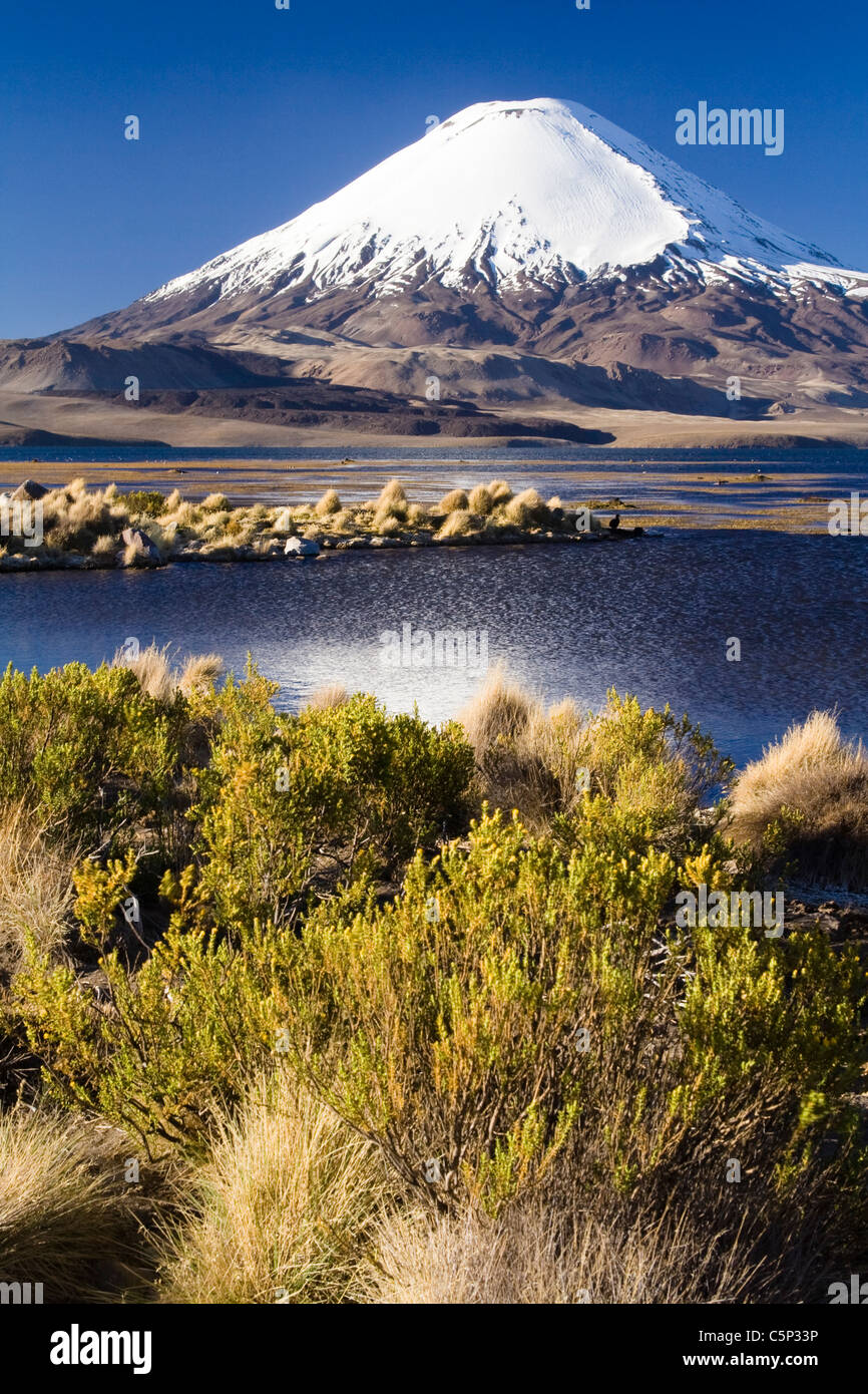 Parinacota Volcano and Chungara Lake, Lauca National Park, Chile, South ...
