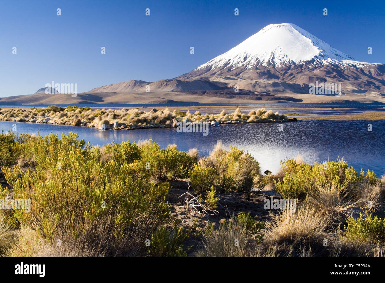 Parinacota Volcano and Chungara Lake, Lauca National Park, Chile, South ...