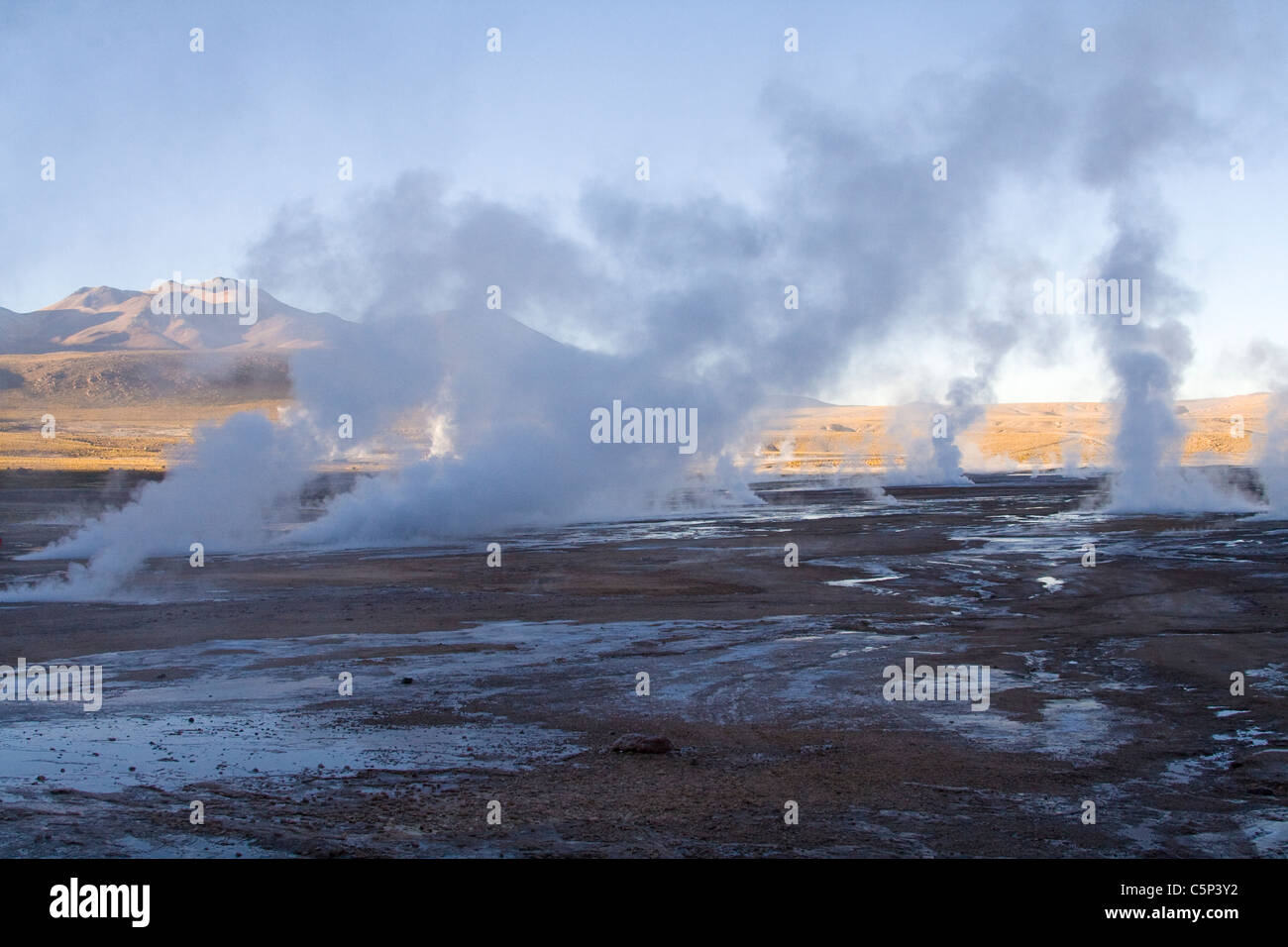 Steam rising from the El Tatio Geyser Field, Los Géiseres del Tatio ...