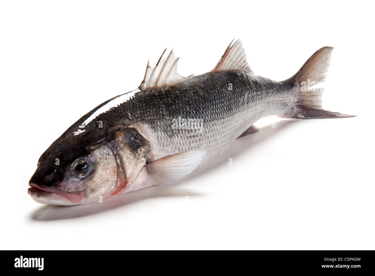 Sea bass recipe hi-res stock photography and images - Alamy
