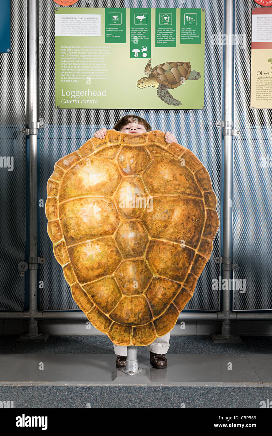 Boy standing behind loggerhead sea turtle shell Stock Photo - Alamy