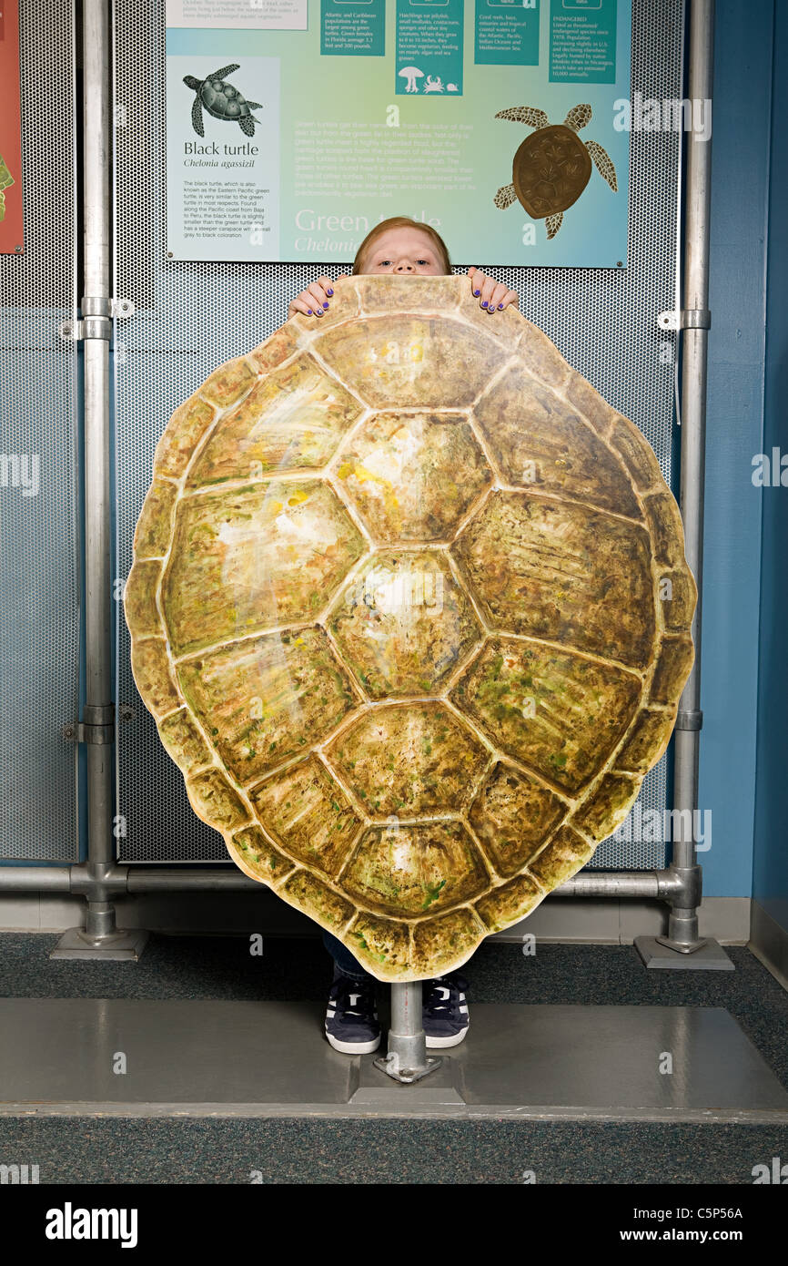 Green Turtle Shell Pattern