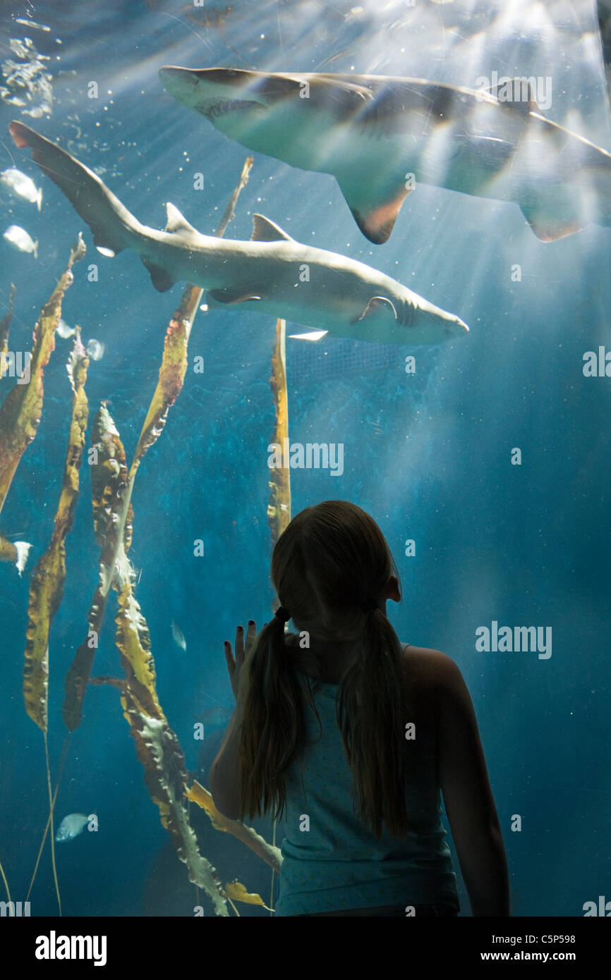 Child at aquarium hi-res stock photography and images - Alamy
