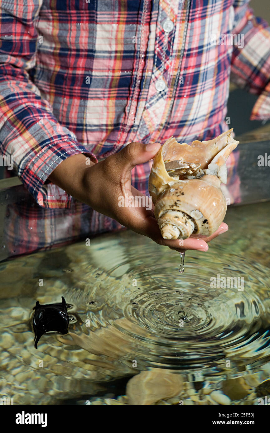 Girl holding sea shell in aquarium Stock Photo - Alamy
