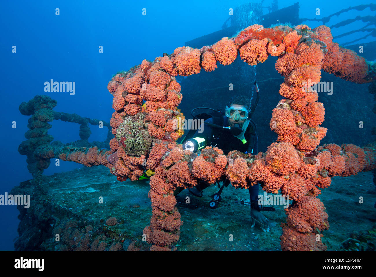 African american scuba diving hi-res stock photography and images - Alamy
