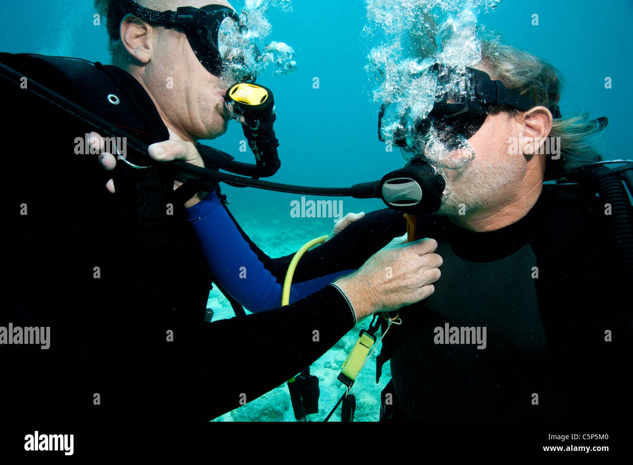 Scuba divers share air Stock Photo - Alamy