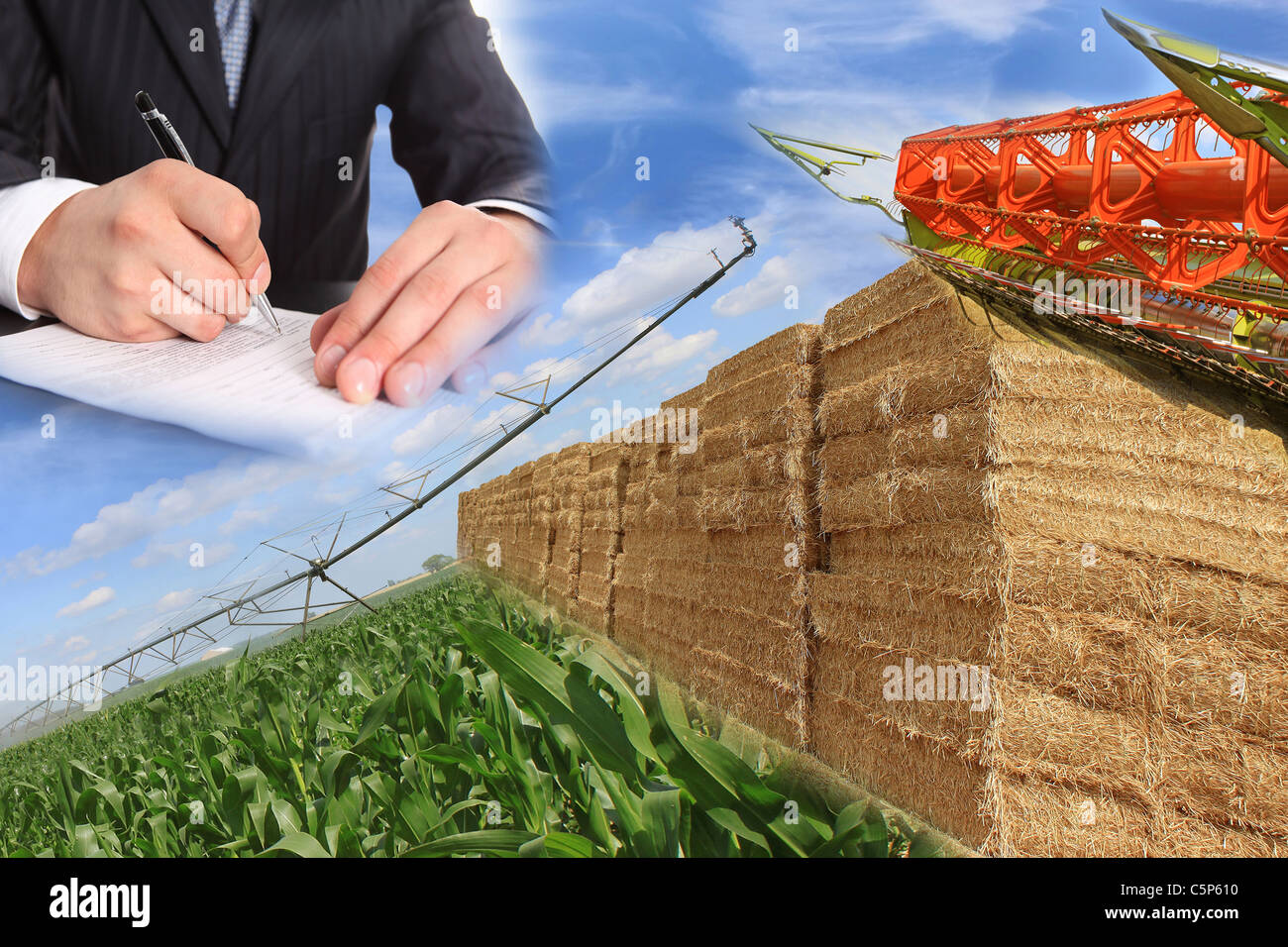 layout of straw bales, corn field, and combine with signing a purchase ...